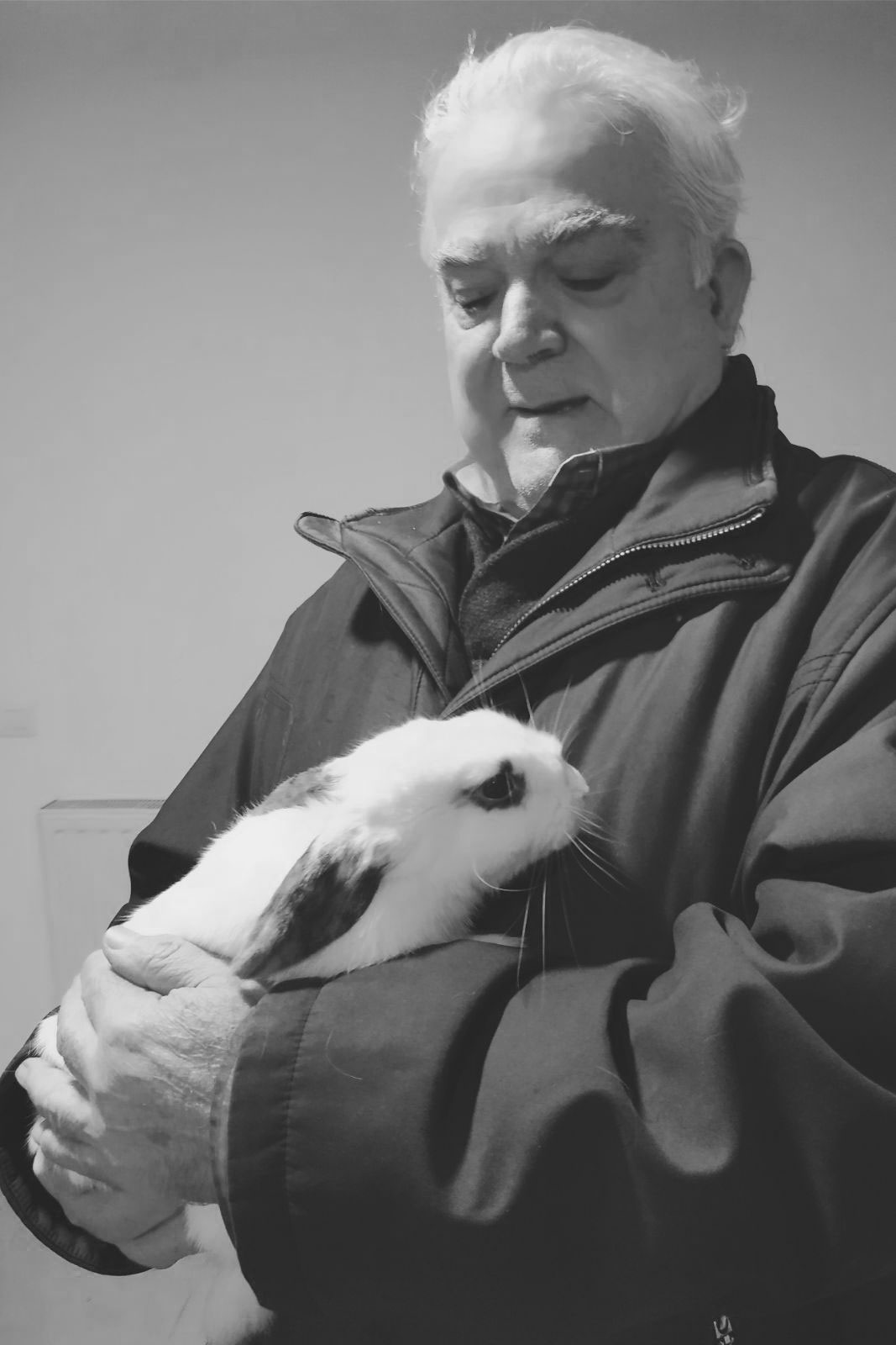 Daniel de Culla ~ Art/Poetry – The Stray Branch